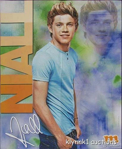 One Direction Niall Signature