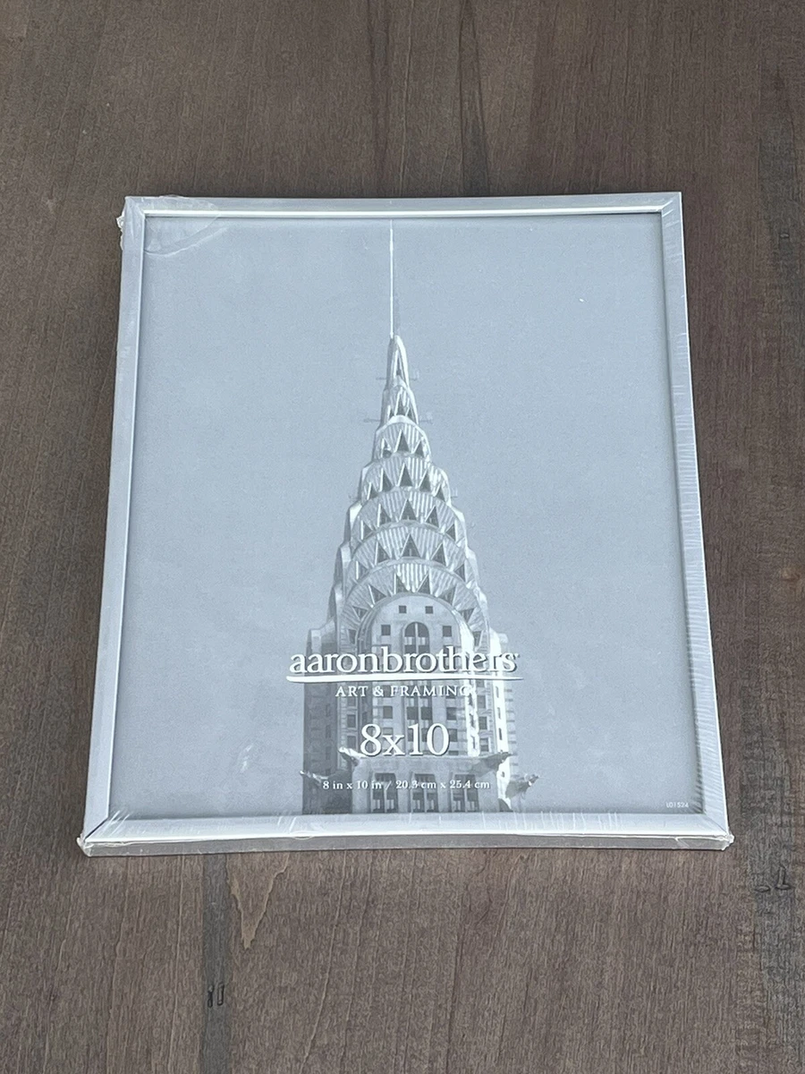 Aaron Brothers Poster Frames