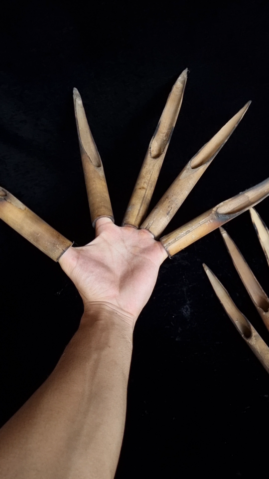Asmat Bamboo Asaro Claws Mudmen Headhunter Papua New Guinea Carved ...