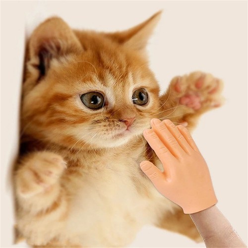 Tool Model Tiny Hands Finger Gloves Silicone Gloves Cat Toy Little ...