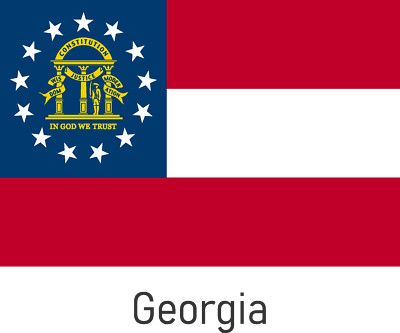 GEORGIA STATE FLAG, STICKER, DECAL, 6 YR VINYL (FREE GIFT) TRUCK, CAR ...