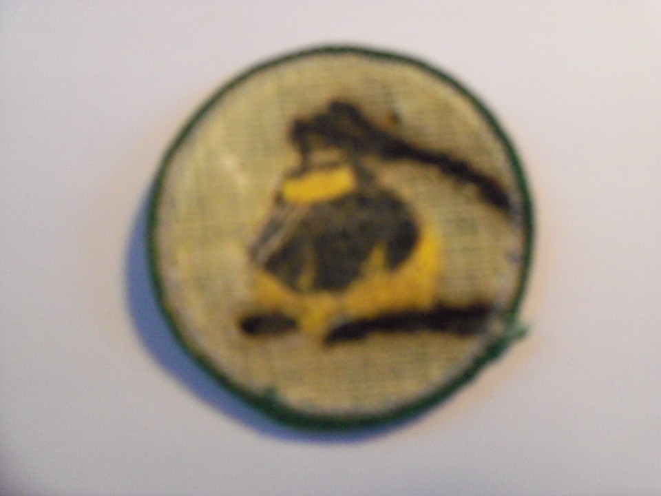 Girl Scout Junior Outdoor Cook Badge | eBay