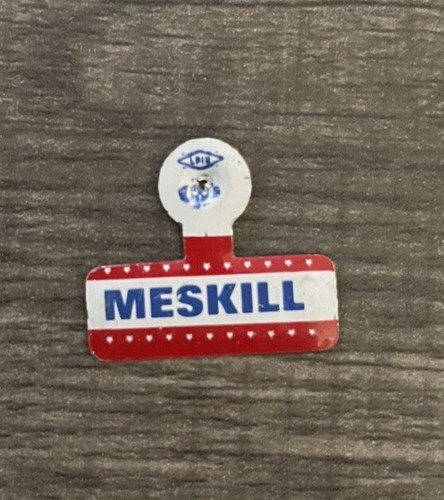 Connecticut Pin Back Campaign Button Local Governor Thomas Meskill 1970 ...