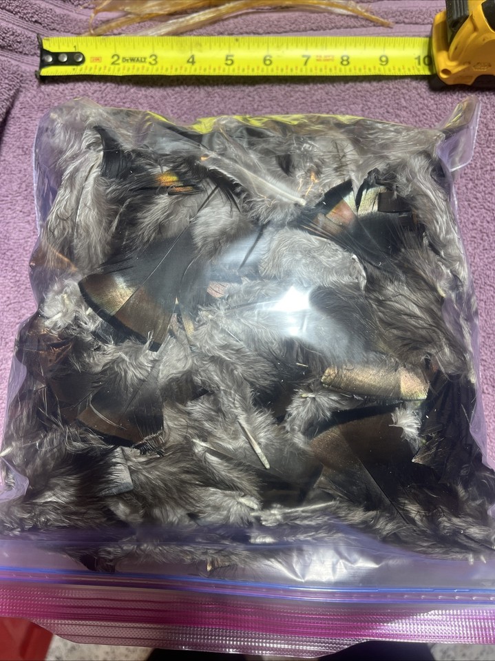 Wild Turkey Body Feathers One Gallon Bag. Feather Art Crafts Taxidermy ...