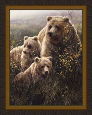 'Denali Family' Grizzly Bears Panel 36" | eBay
