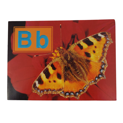 Steck-Vaughn Phonic Readers Plus: Early Reader ~Level Bb ~ Alphabet ...