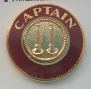 Battalion Chief Captain Fire Collar Brass Chain of Command Firefighter ...