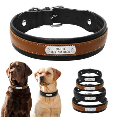 Leather Personalized Dog Collar Soft Padded for Medium Large Dogs ...