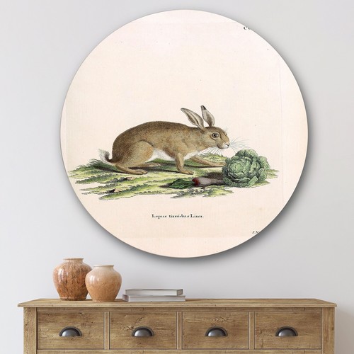 Designart 'Vintage Rabbits In Earth Tones' Farmhouse Metal | eBay