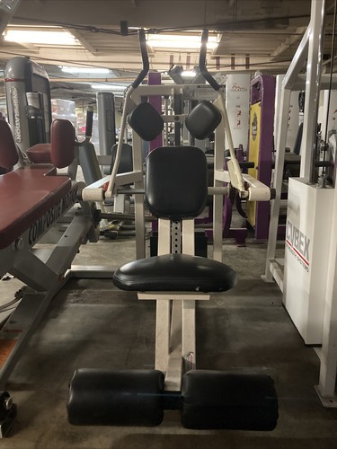 Flex Fitness Ab Machine Selectorized Gym Vintage Machine Commercial ...