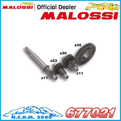 Primary Gears HTQ Long Ratio (9:1) Piaggio Superbravo 50 | eBay