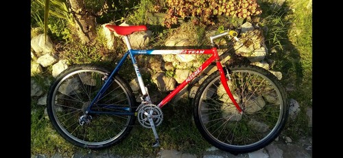 Ritchey Mtb Vintage 1993 P22 | eBay