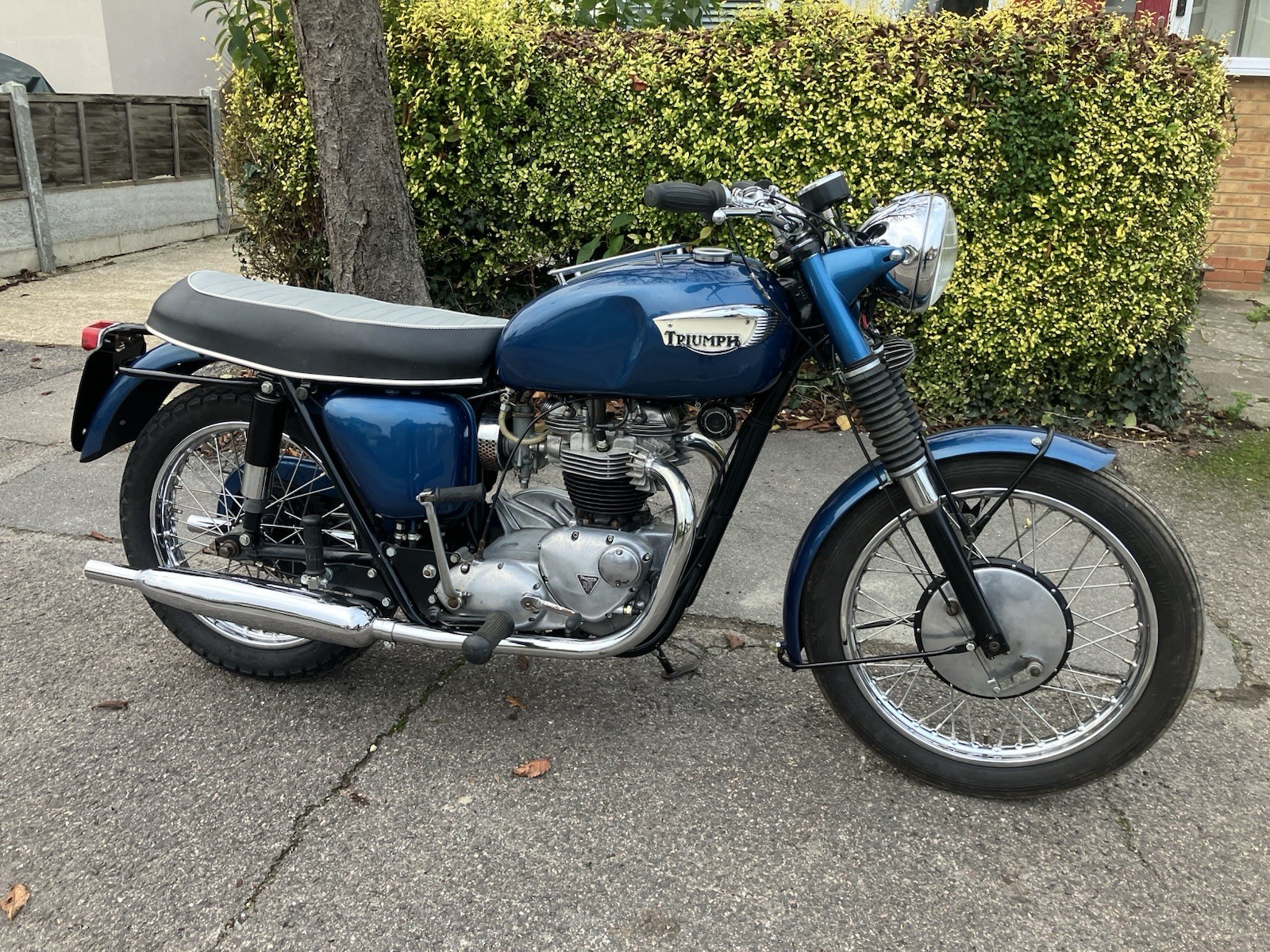 1966 Triumph Tr6p 650 Triumph Trophy - Bike Years - 1960s