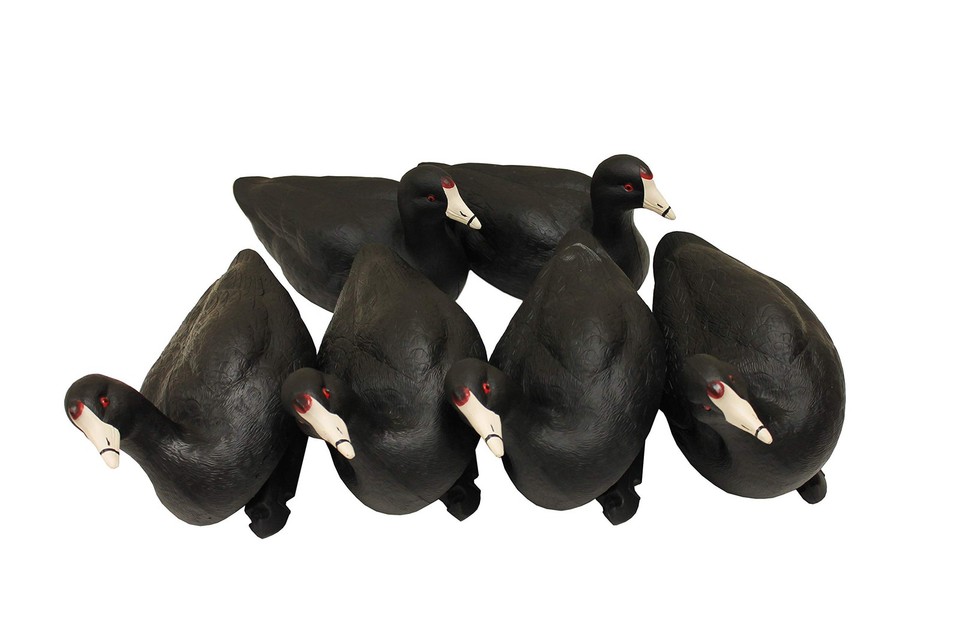 MOJO Coot Confidence Decoys for Duck Hunting, Increases Realism and ...