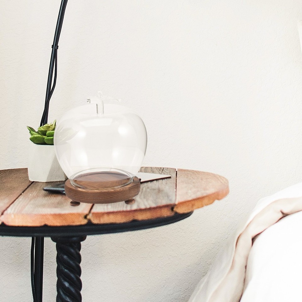 Display Dome with Base Garden Cloche Flower Craft Desktop Decor Glass ...