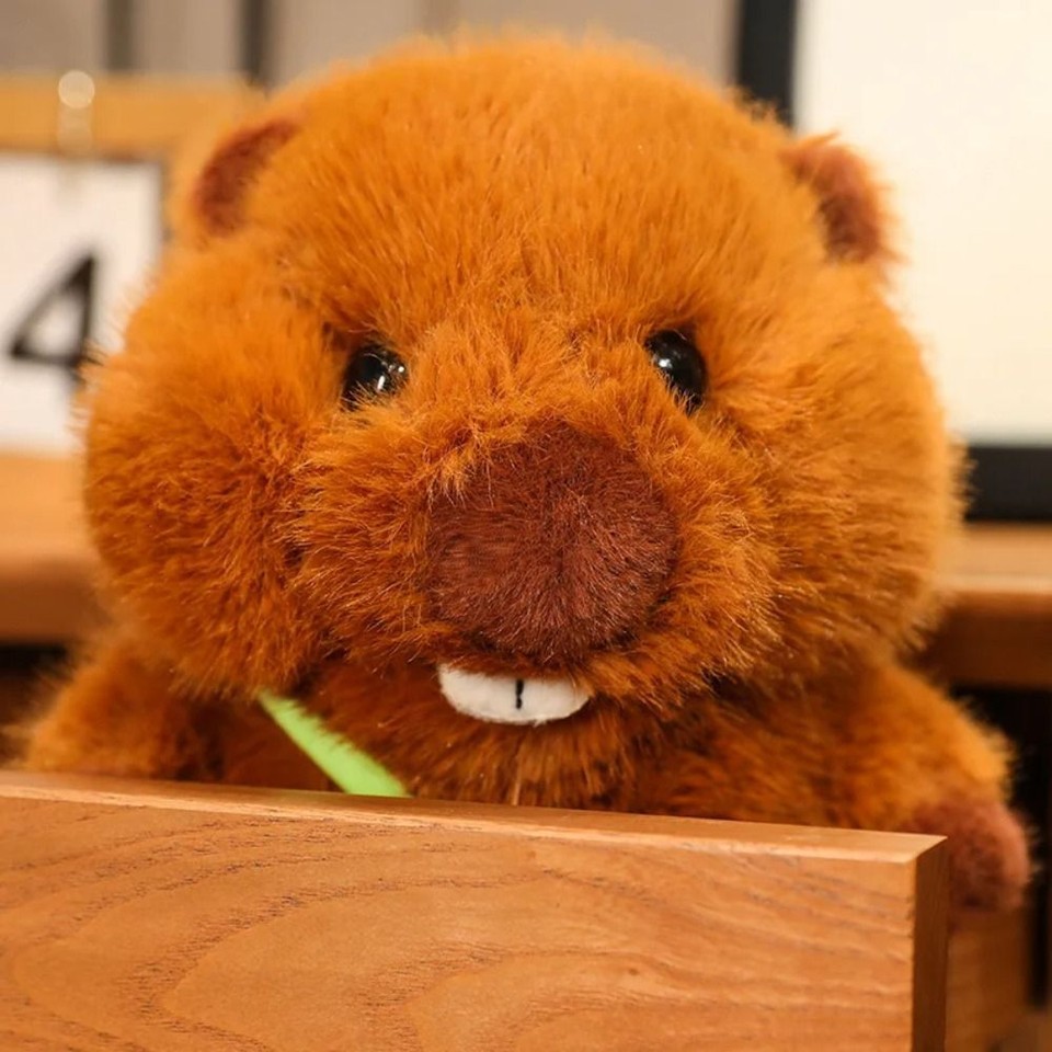Little Beaver Bag Beaver Plush Toys Cartoon Animals Animals Soft Doll ...