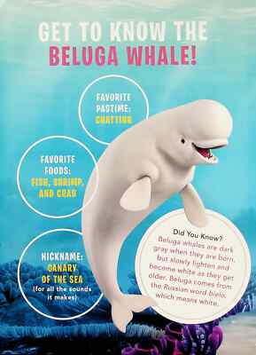 Get to Know the Beluga Whale Bailey - Disney Pixar Finding Dory Mini ...