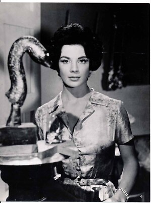 Gier nach Blut - Ziva Rodan - Walter Reed - 2 Pressefotos - s/w 18x24cm ...