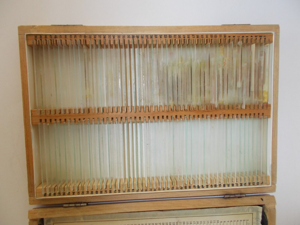 VINTAGE MICROSCOPE LAB SLIDES, WOOD BOX, LOT OF 100, ca 1940s | eBay