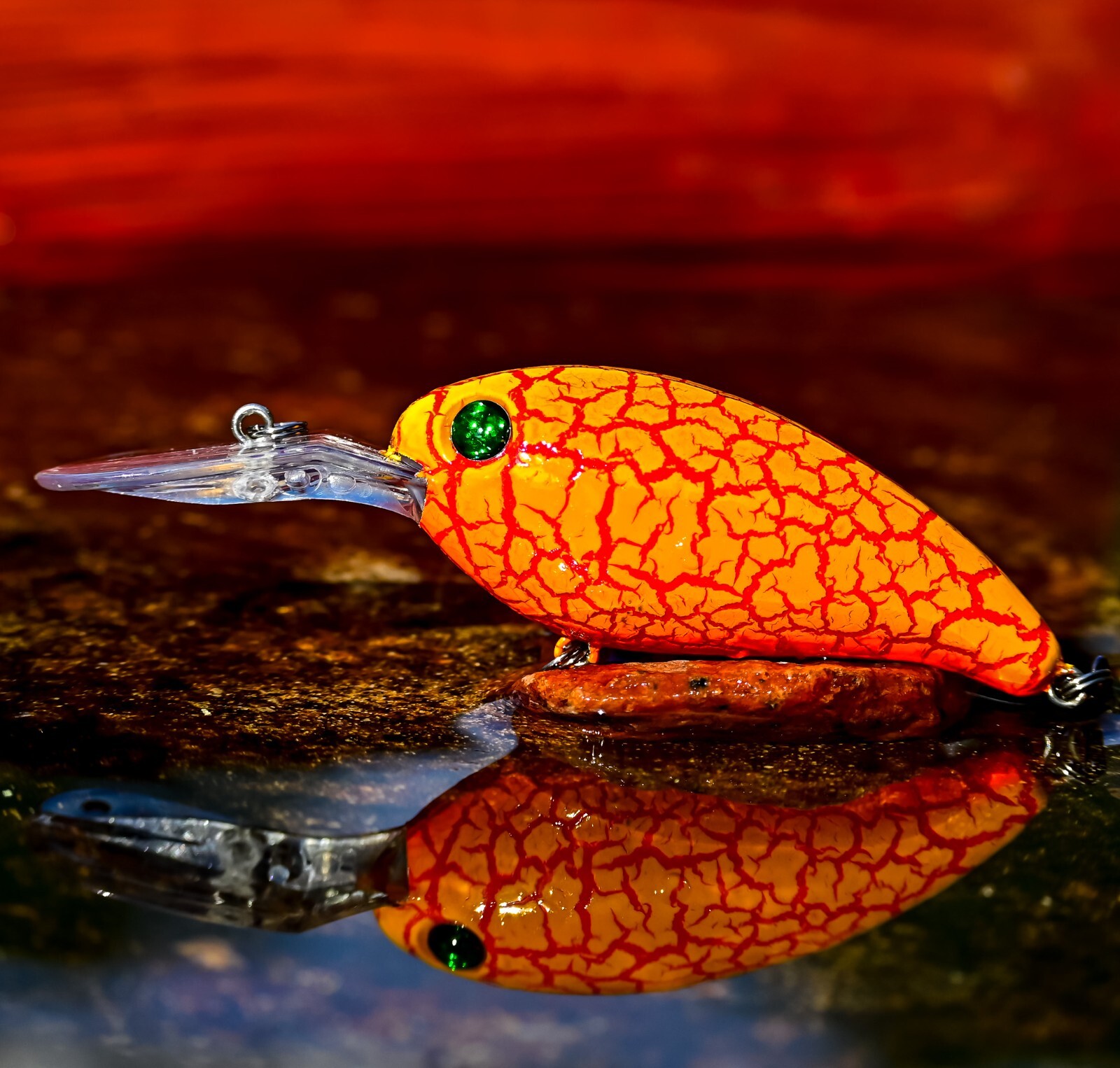 Murray Cod Lure Flathead Barra Trout Yellowbelly Redfin Perch Bass ...