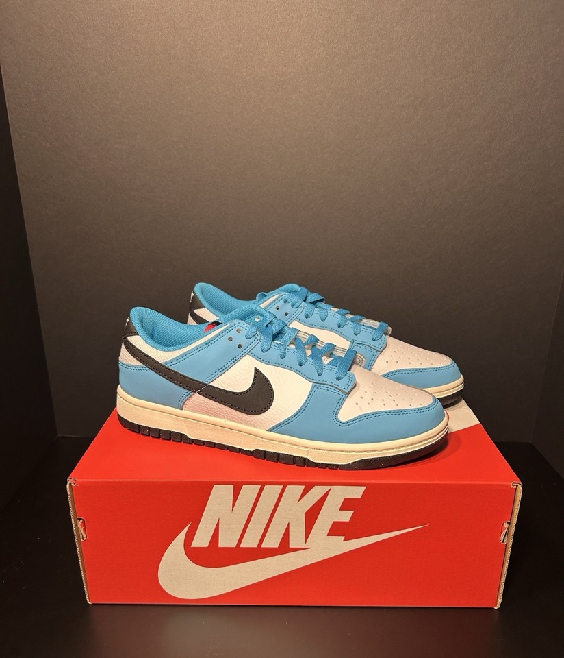 Nike Dunk Low N7 Men's Size 10 DS DN2066-991 | eBay