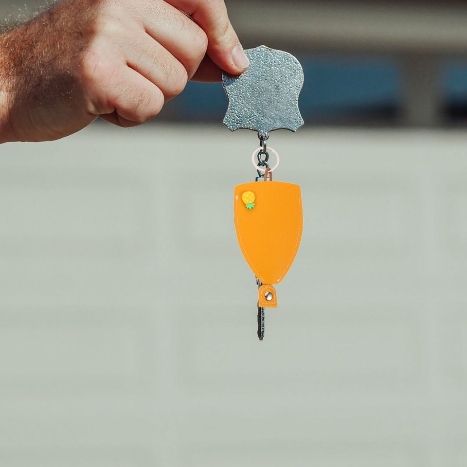 4 Pcs Key Fob Cover for Automotive Protector Car Keys Pull Out Case ...