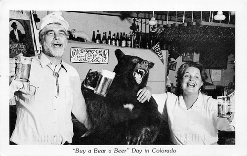 Humor Duckboy Cards Buy a Bear a Beer Day in Colorado Postcard | eBay