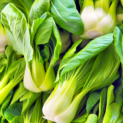 Wa Wa Qing F1 Bok Choy Seeds | Hybrid Shanghai Pak Choi Seed 2025 Fast ...