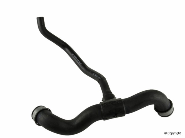 Radiator Coolant Hose-Genuine Lower WD Express 221 501 68 84 | eBay