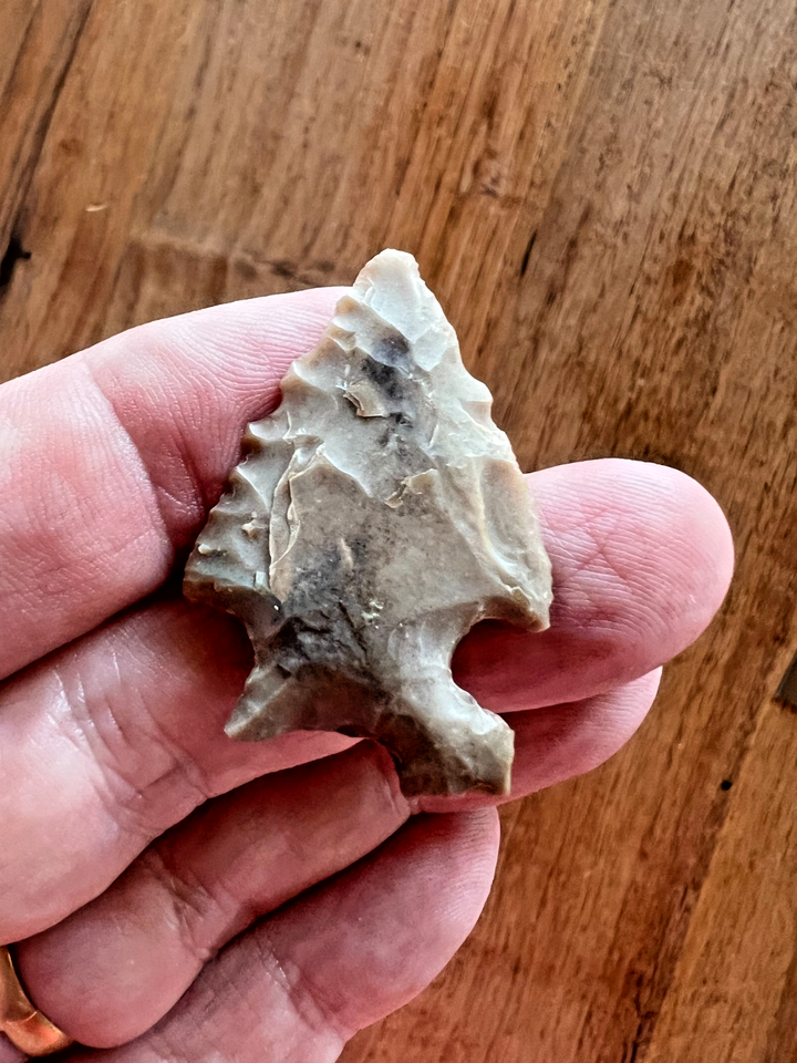 South Texas Arrowhead Collection – Val Verde County, Texas – Lot of 8 ...