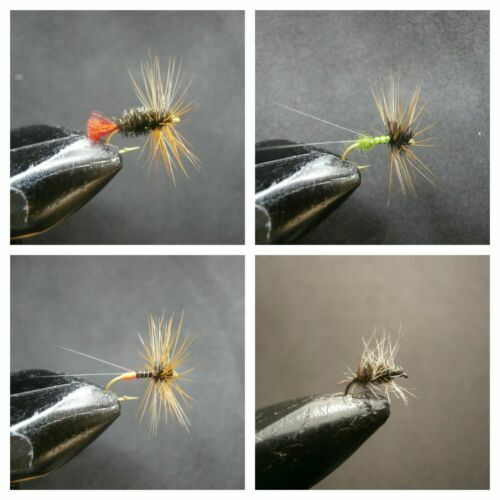 Ami Da Mosca KAMASAN 100 B401 - Misure 10/12/14/16/18/20, Perfetti Per ...