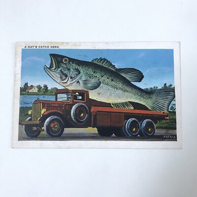 Vintage Fishing Exaggerated "A Day's Catch Here" Postcard 1936 Posted ...
