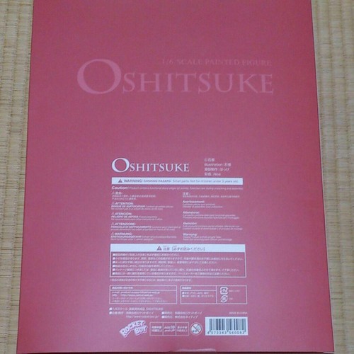 [New] Native Rocket Boy OSHITSUKE IshiKei Original 1/6 PVC Figure Japan ...