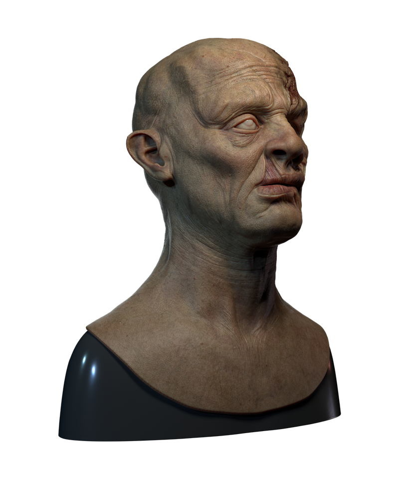 Silicone Mask | Realistic Mask | Killer Halloween Mask | SPFX ...