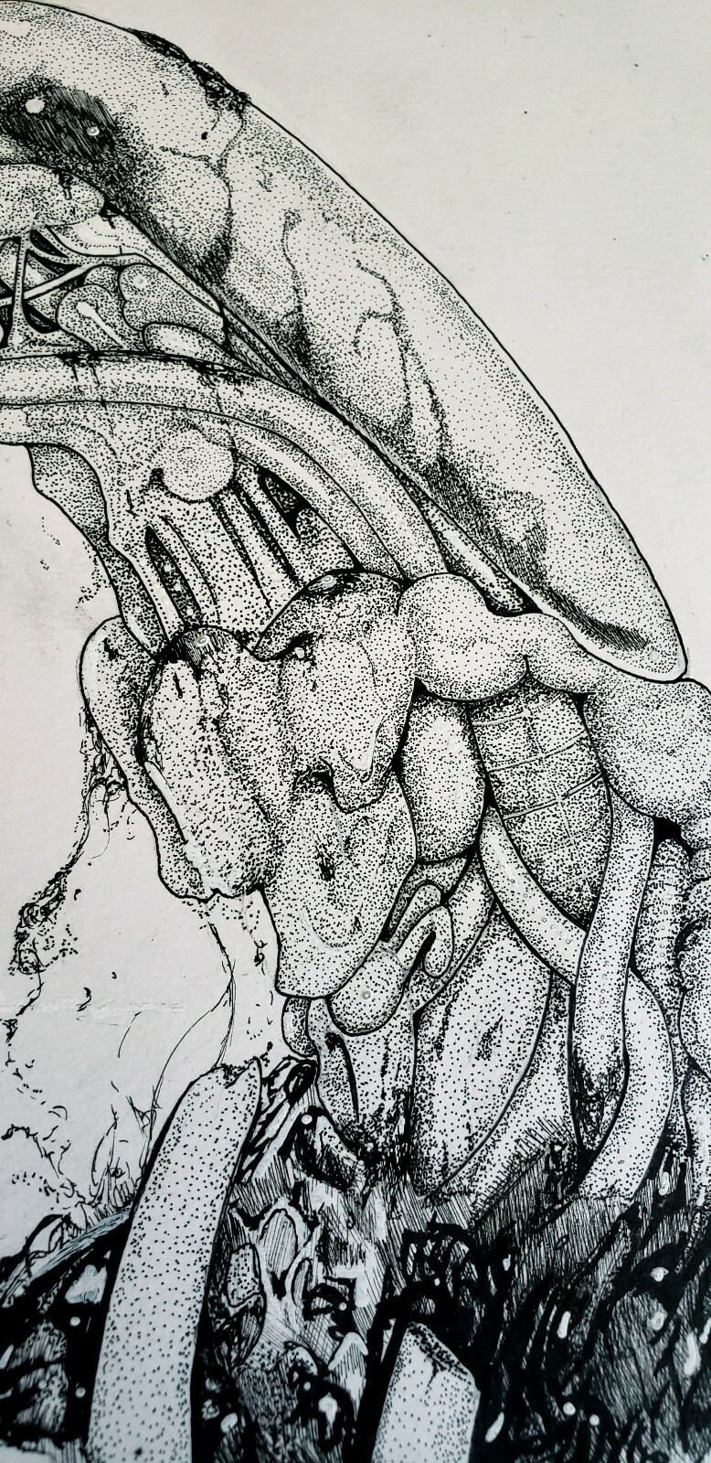 Alien Chestburster Drawing - Original Ink Drawing | eBay