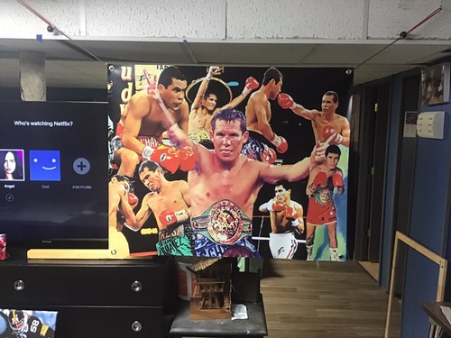HUGE! 42x34 JULIO CESAR CHAVEZ vinyl BANNER POSTER Canelo Alvarez Mike ...