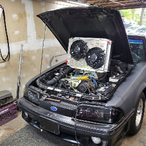 ASI performance pro | eBay Stores