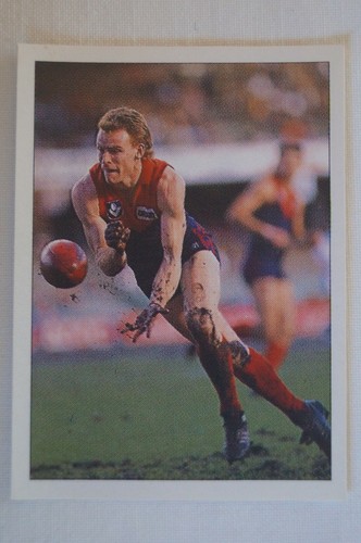 Melbourne Demons AFL-VFL 1990 Vintage Scanlens Football Sticker Steven ...