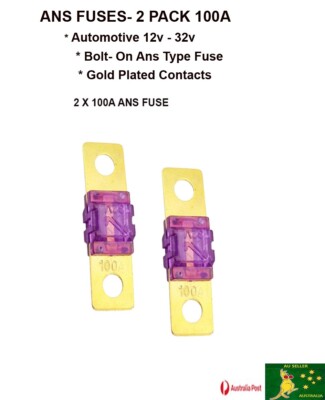 ANS Fuses 2x 100Amp 12V-32V Gold Plated Fast Blow Fuses Automotive ...