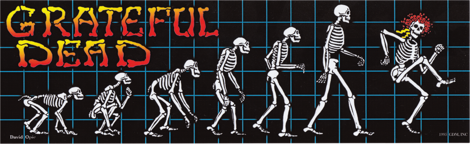 Sticker - Grateful Dead Evolution Into Dancing Deadhead Large Bumper ...