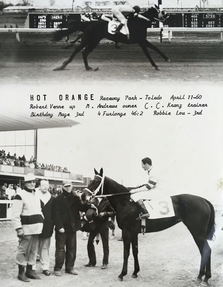 1960 Toledo OH Raceway Park Hot Orange Horse Racing Photo Venne Kranz ...