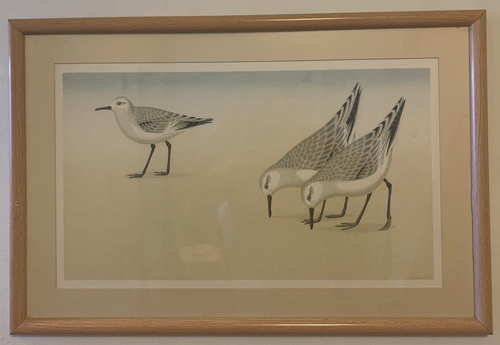 David Grose - Signed Print 1974 | eBay