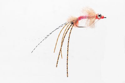 Fly Fishing Flies (Bonefish, Permit, Redfish, Snapper) Spawning Shrimp ...