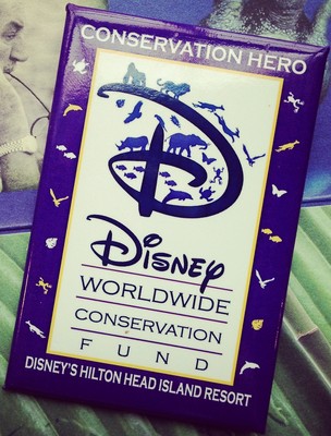 Disney Conservation Button Pin - Hilton Head Resort - Brand New | eBay