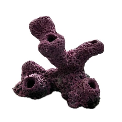 Sandbed 7 Hole Frag Plug Coral Tree Rock Base for Live Coral | eBay