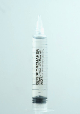 Lions Mane (Yeti ) Commercial Strain 10ml I Premium Culture | eBay