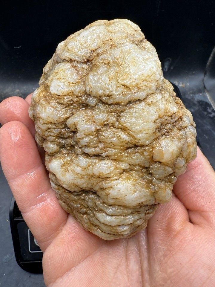 Fossilized Indiana Geode Crystal Agate Crinoid 2,170 Carats | eBay