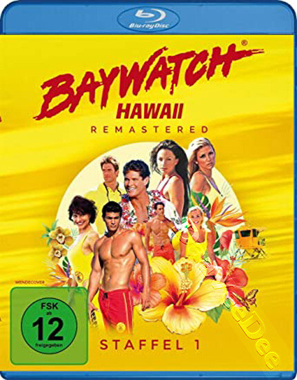 Baywatch Hawaii David Hasselhoff 30 Bonkers Secrets About Baywatch