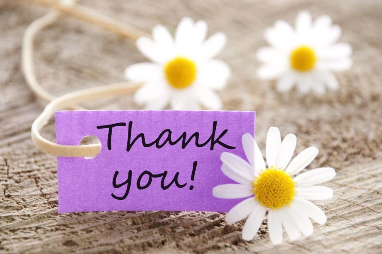 Breaking! Benjamin 2025 Tour T-Shirt | ID 28308477 by Gary Cook | Printblur