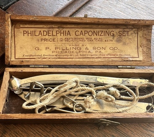 Vintage "The Philadelphia Caponizing Set" for Fowl Chickens | eBay